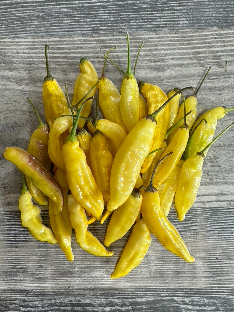 PEPPER (HOT) - Lemon Drop – The Superior Gardener