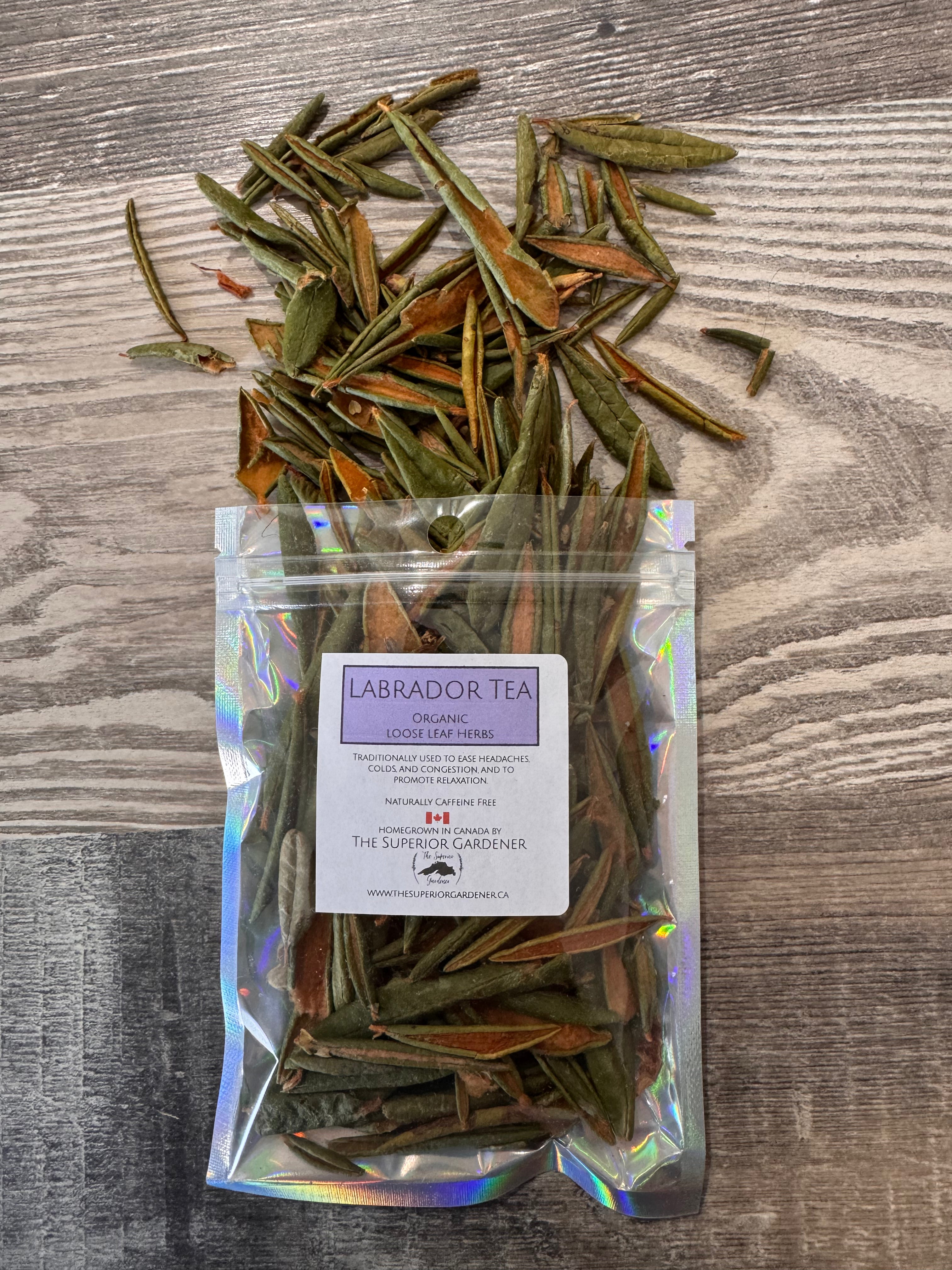 LOOSE LEAF HERBS | Labrador Tea – The Superior Gardener